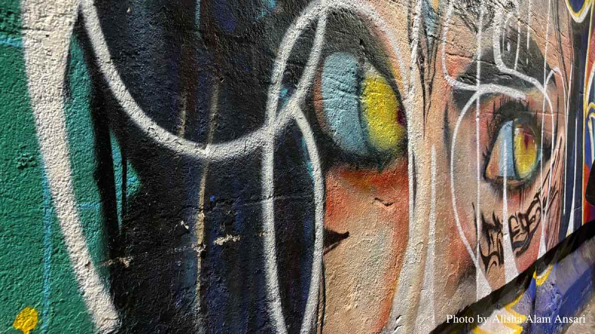 The rise of Kolkata street art: Colors, causes and creative resistance ...